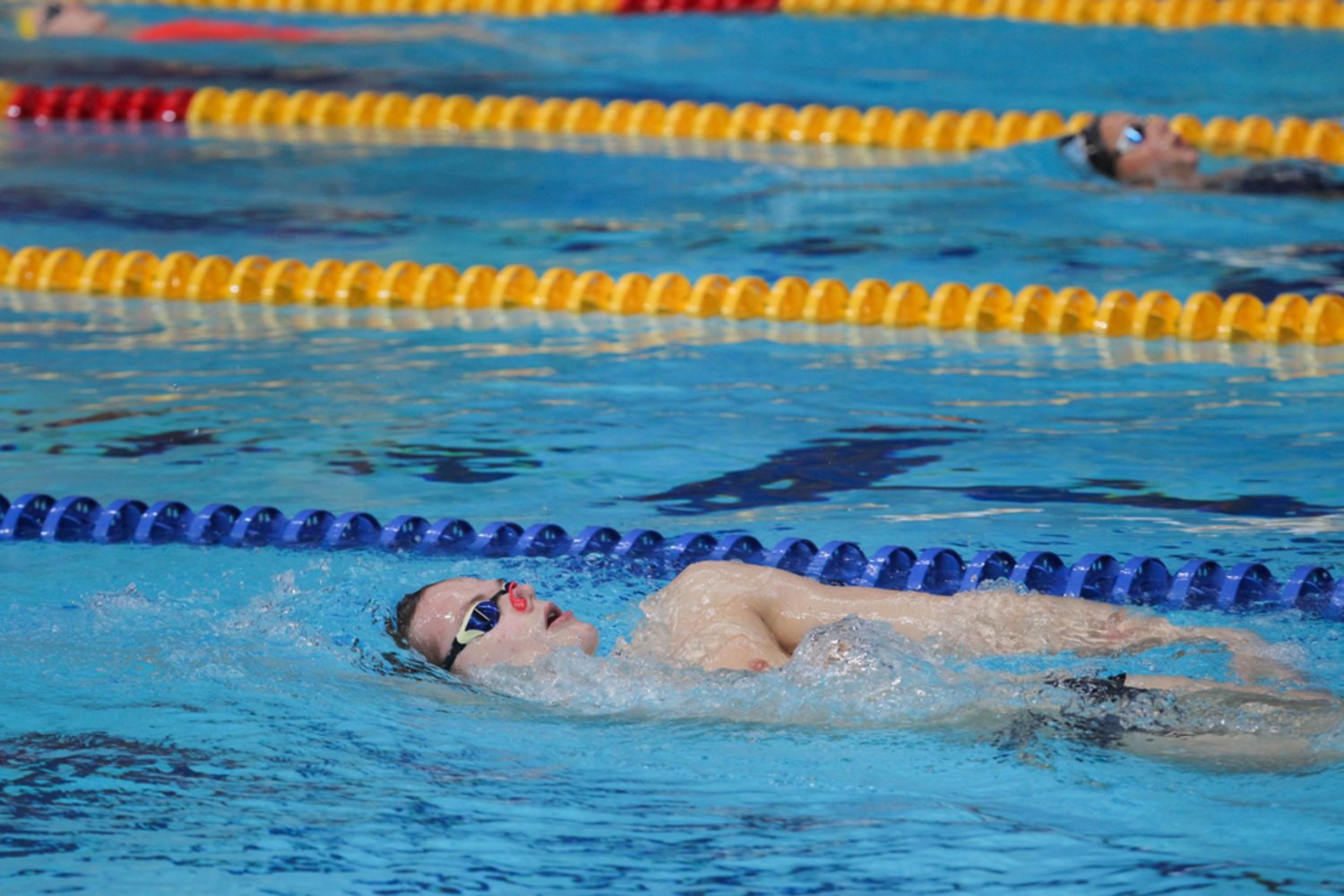 Qualifier for season's key competition. Russia's strongest swimmers ...